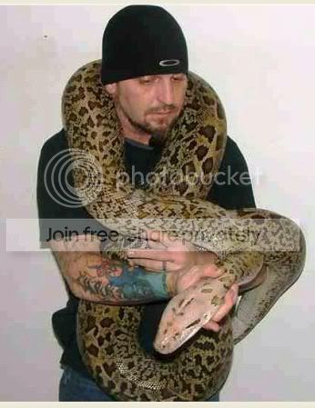 BIG Granite Burmese Python :o) | Reptile Forums
